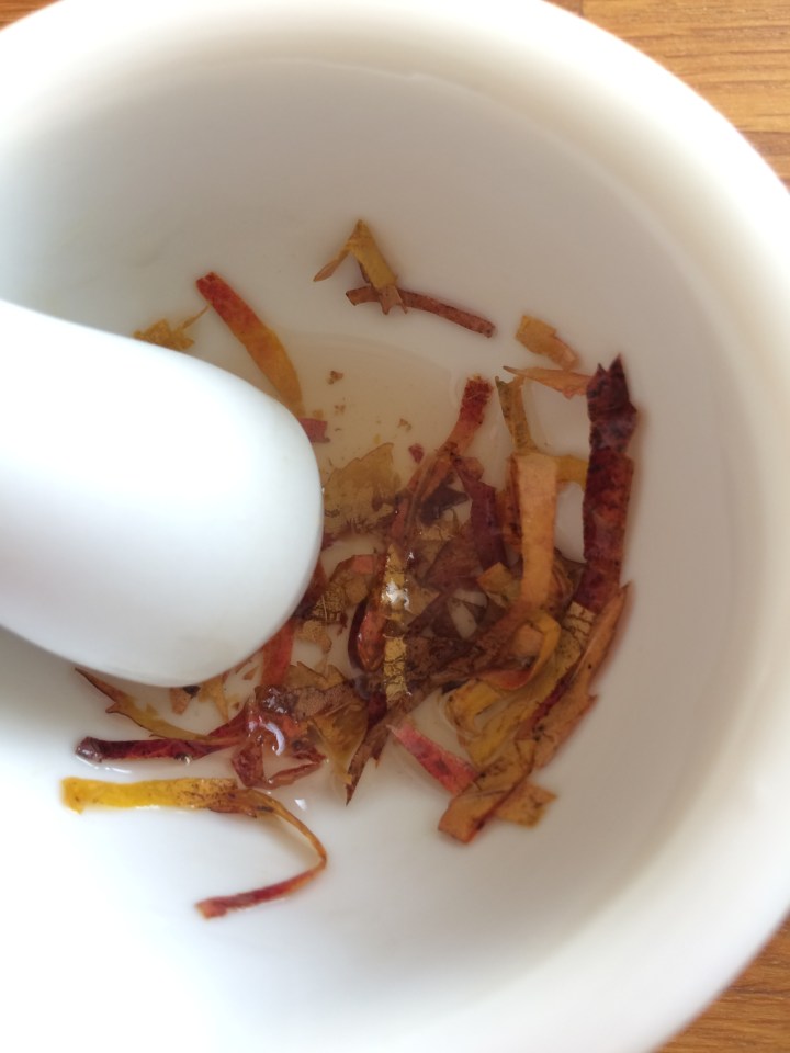 Fall Leaf Chromatography – Brave the Elements