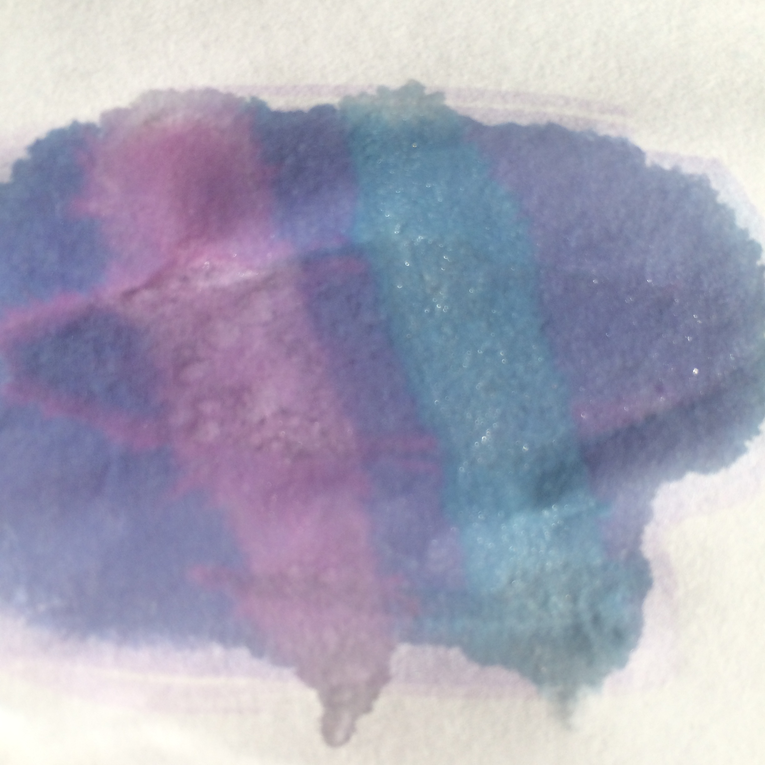 Make your own color changing paint with red cabbage – Brave the Elements